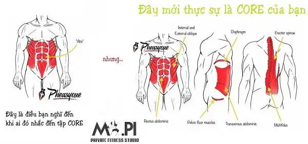 Cơ Core thật sự là gì