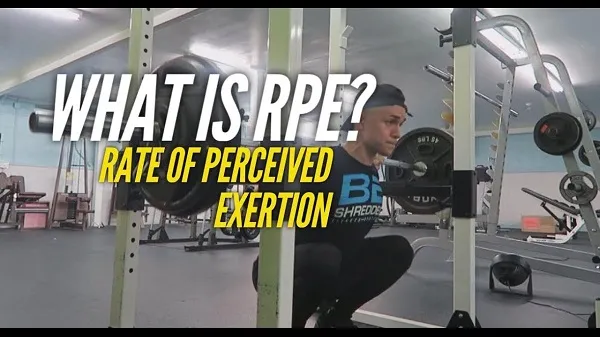 Giải thích rpe trong gym là gì và cách thực hiện đúng kỹ thuật